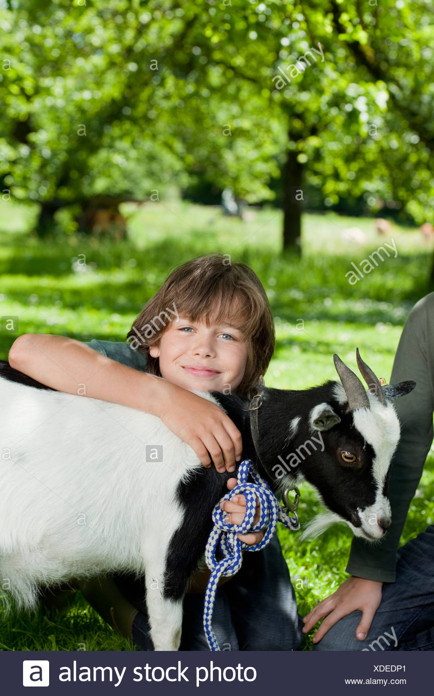 Pet Goat High Resolution Stock Photography and Images - Alamy