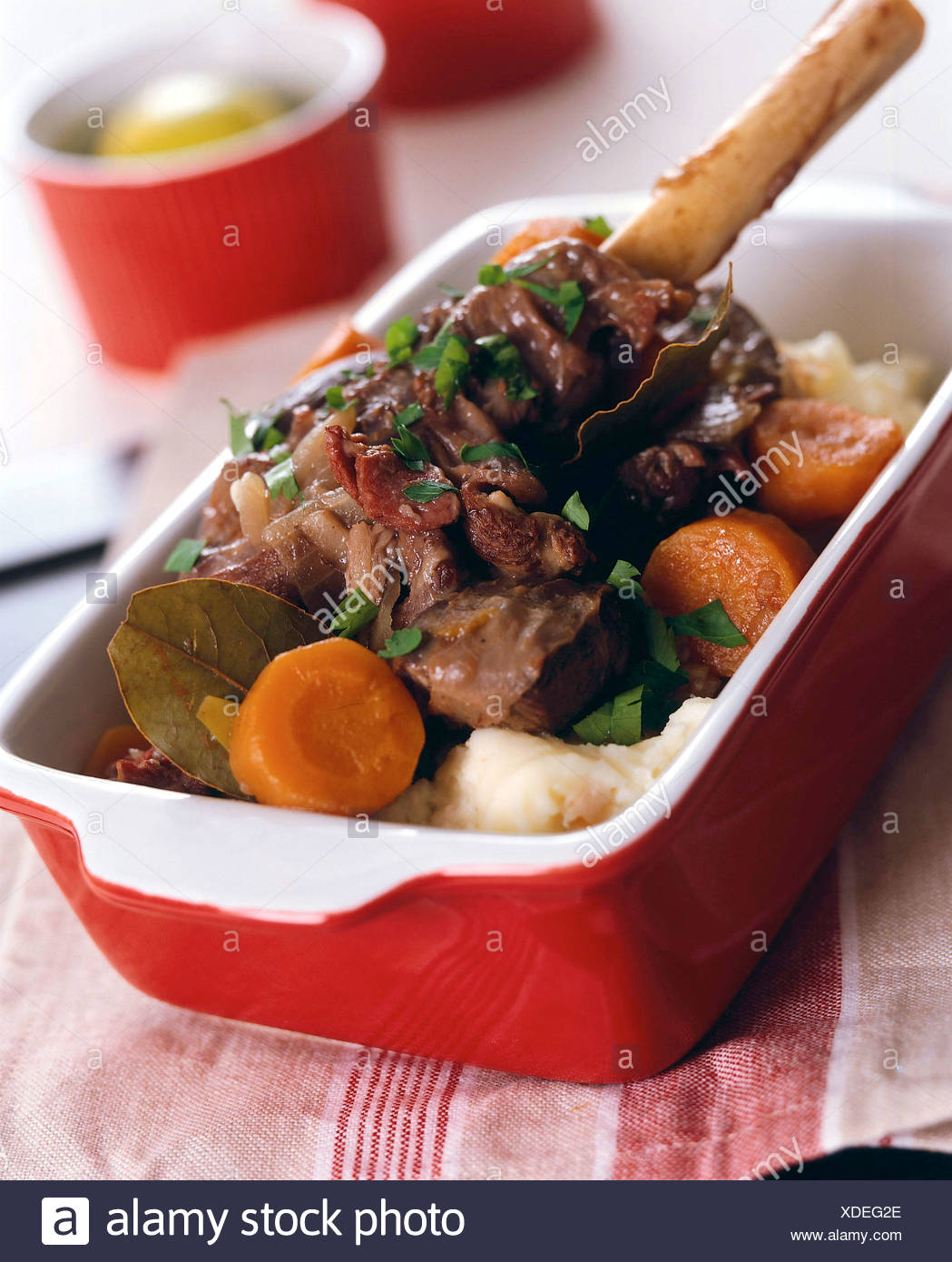 Springbok Meat Stock Photos & Springbok Meat Stock Images - Alamy