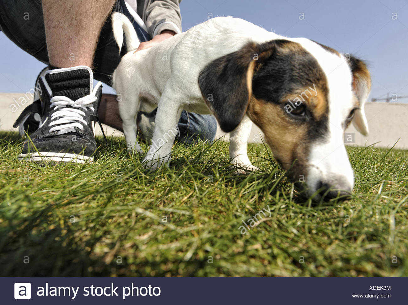 Sniff Smell High Resolution Stock Photography and Images - Alamy