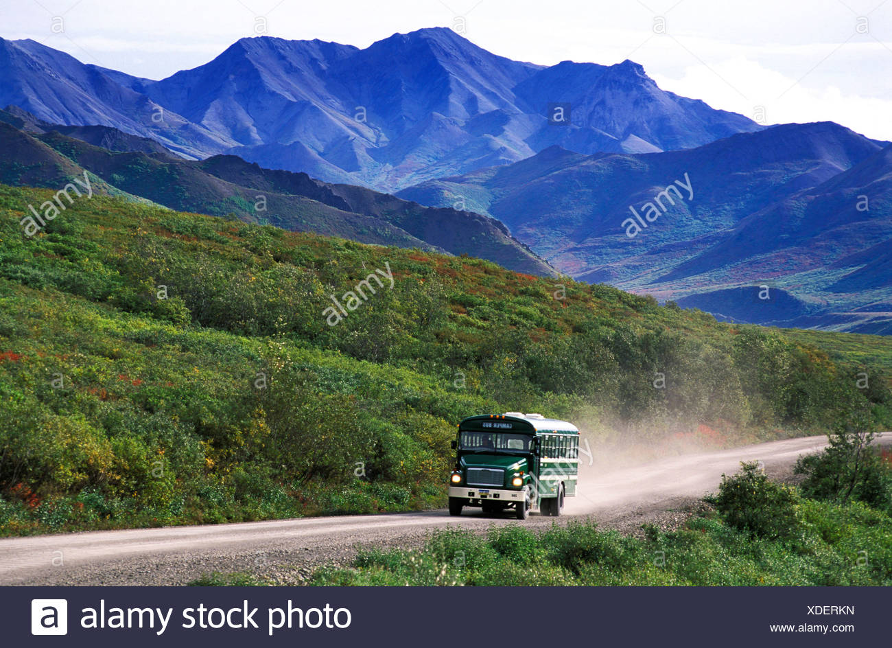 National Park Shuttle Bus High Resolution Stock Photography and Images ...