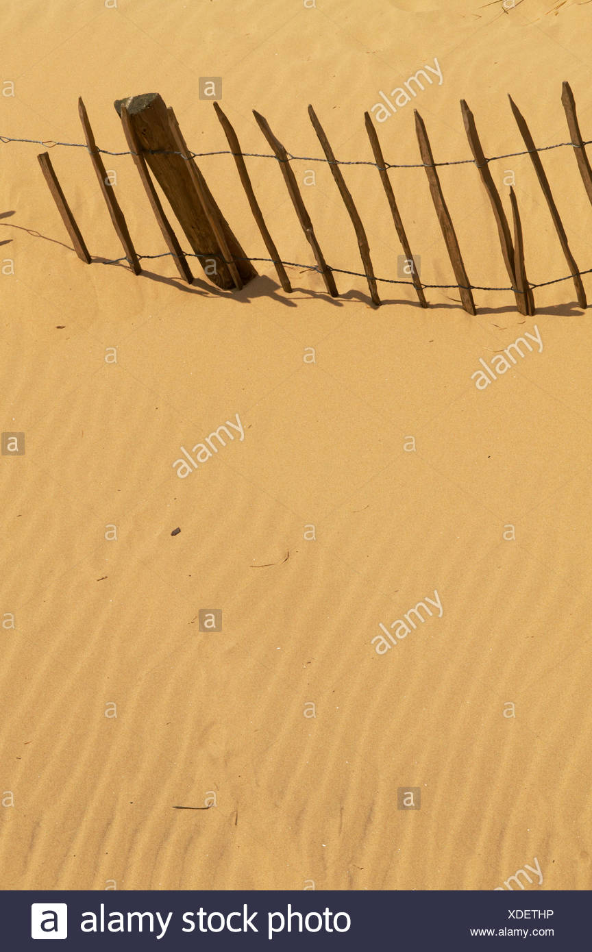 Fixed Dune Habitat High Resolution Stock Photography and Images - Alamy