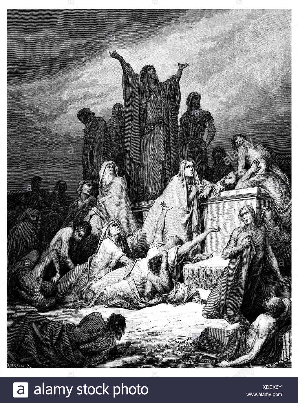 White Plague High Resolution Stock Photography and Images - Alamy