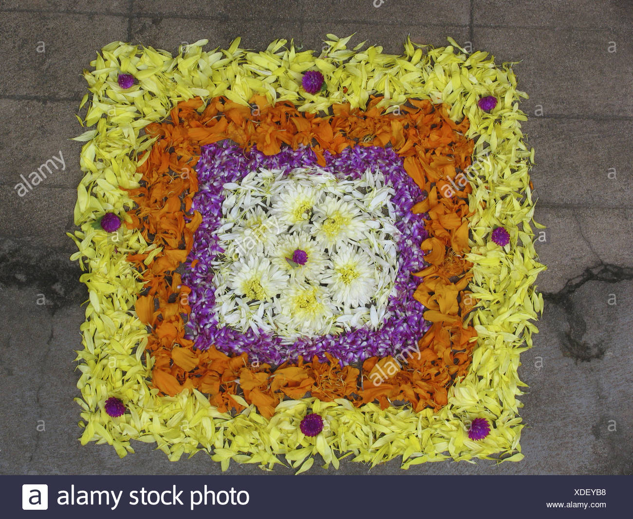 Kerala Onam Ceremony High Resolution Stock Photography and Images - Alamy