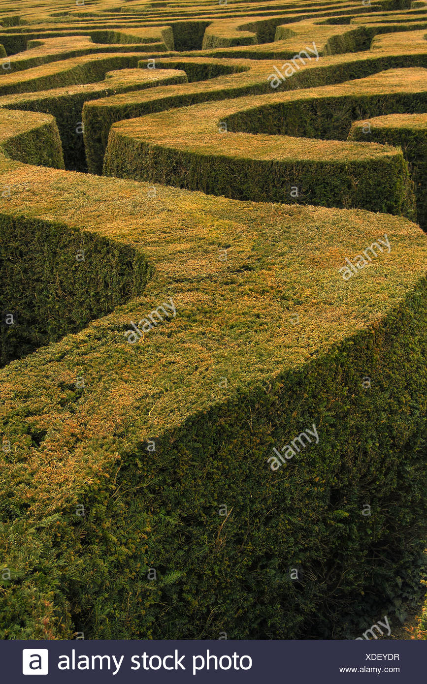 Hedge Maze Above Stock Photos & Hedge Maze Above Stock Images - Alamy