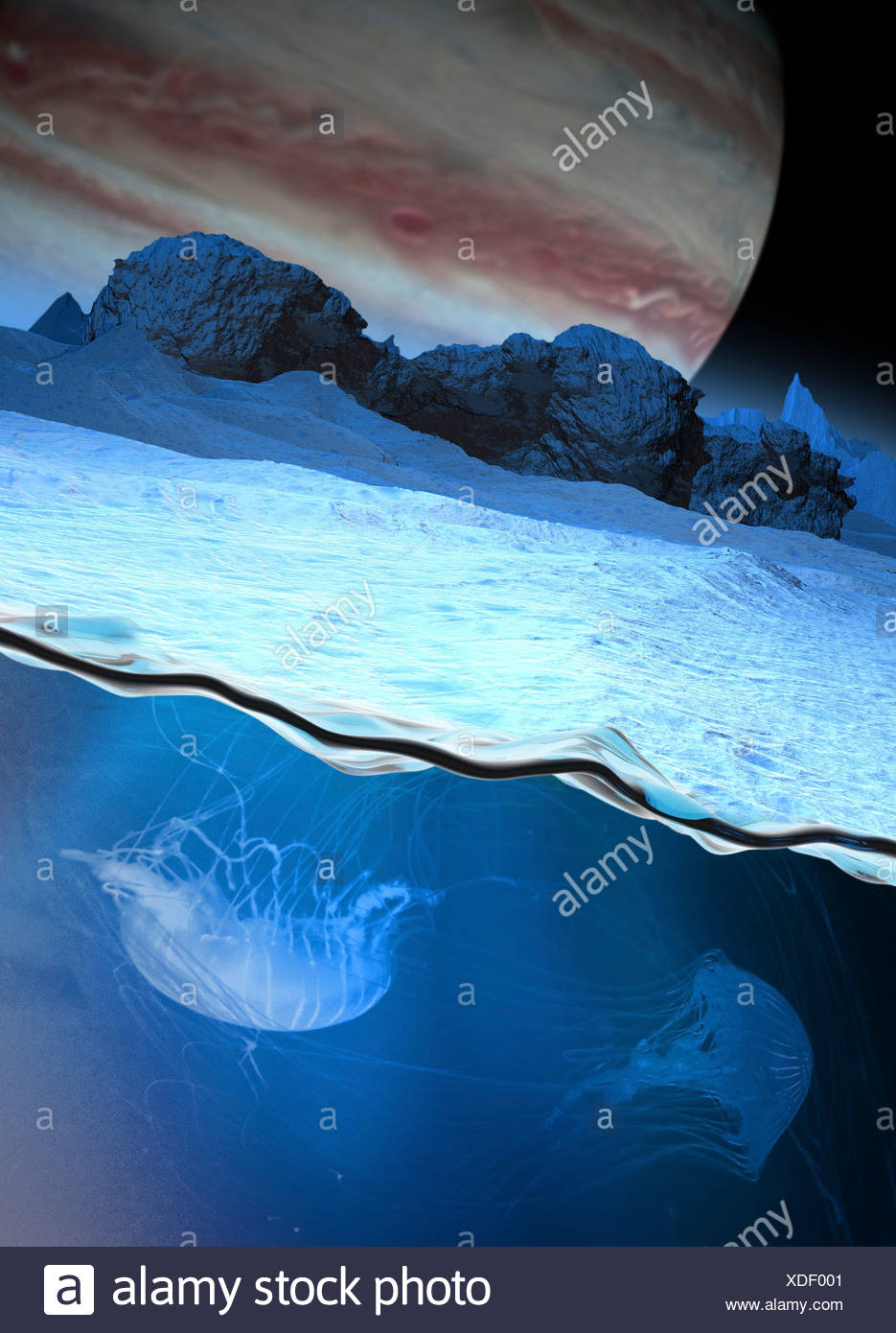 Planet Life High Resolution Stock Photography and Images - Alamy
