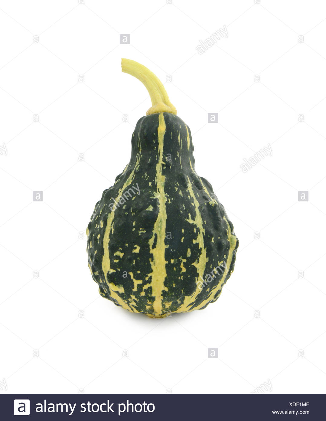 Bumpy Squash Stock Photos & Bumpy Squash Stock Images - Alamy