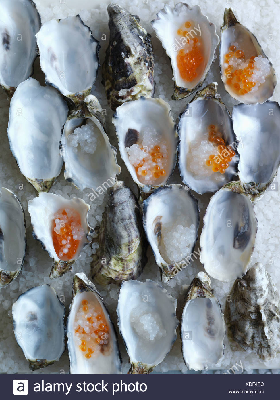 Grey Fish High Resolution Stock Photography and Images - Alamy