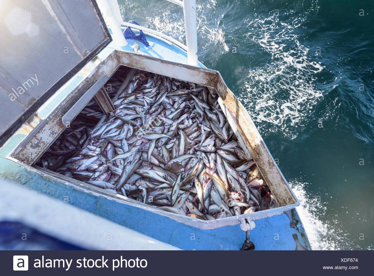 Whiting Fishing High Resolution Stock Photography and Images - Alamy