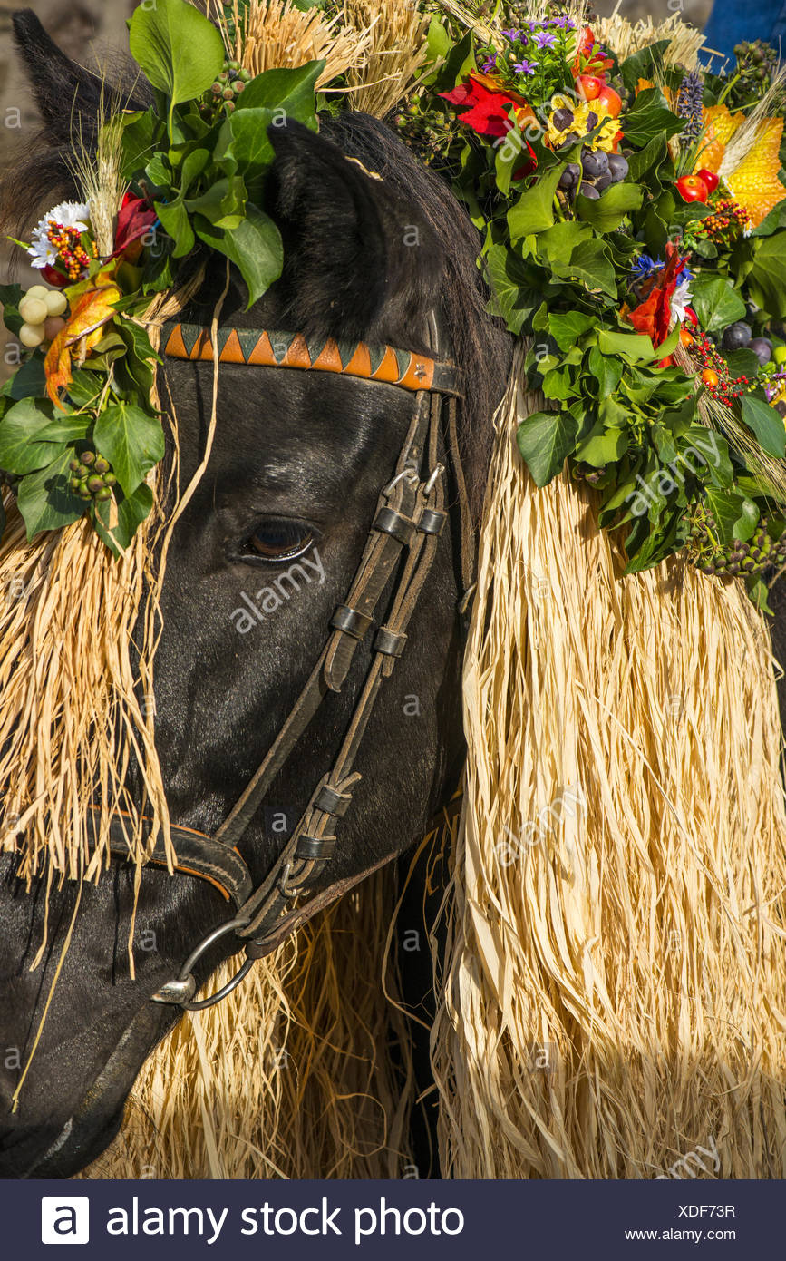 Hueter High Resolution Stock Photography and Images - Alamy