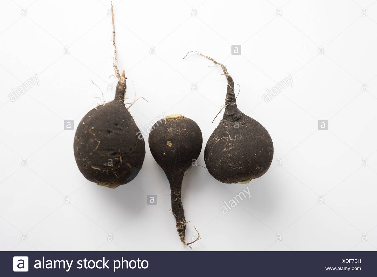 Root Black And White High Resolution Stock Photography and Images - Alamy