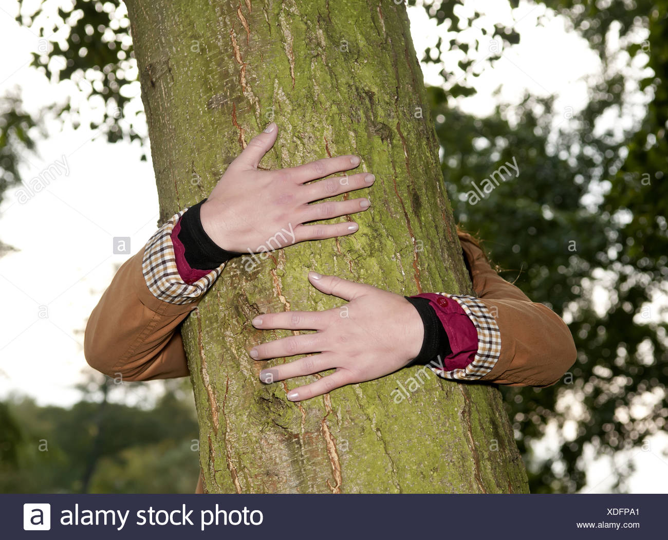 Baum Umarmen High Resolution Stock Photography and Images - Alamy