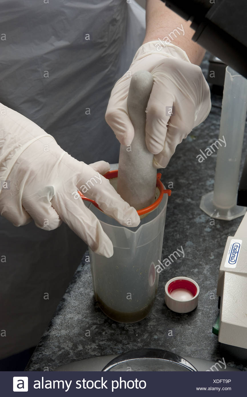 Egg And Faeces High Resolution Stock Photography and Images - Alamy