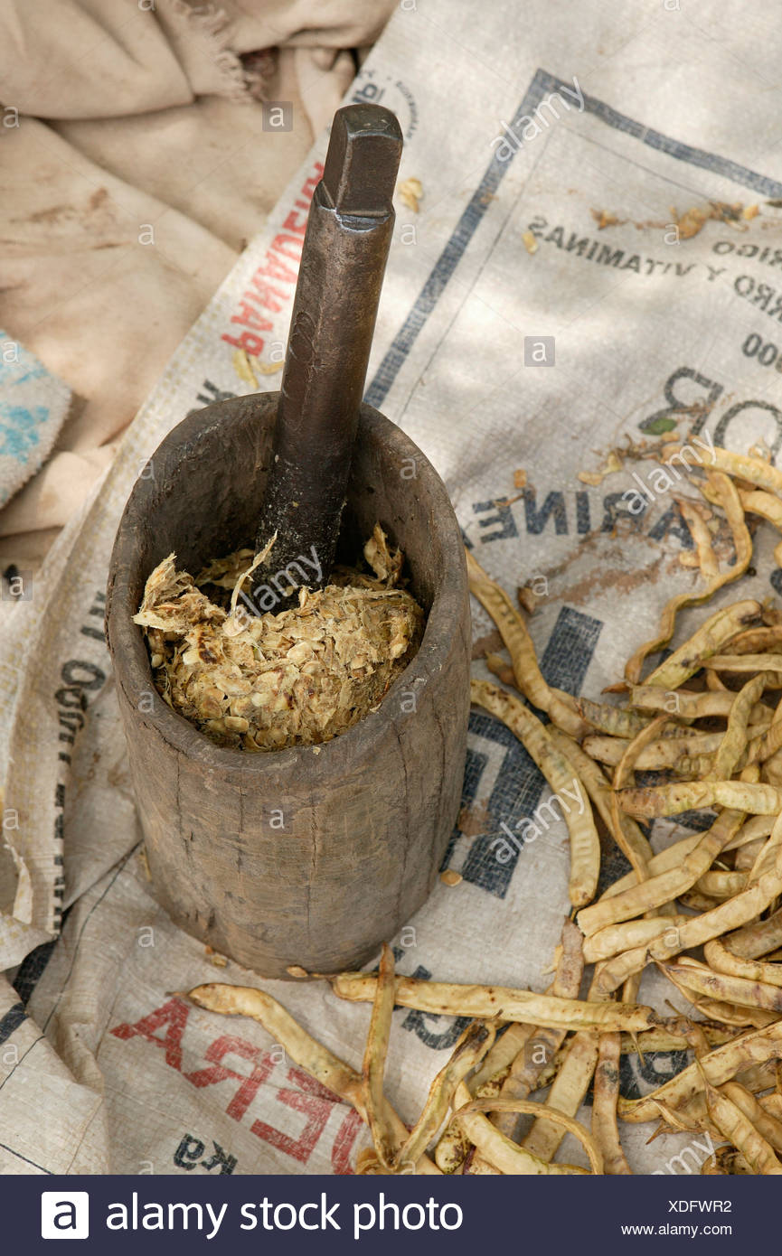 Native Americans Eating High Resolution Stock Photography and Images ...