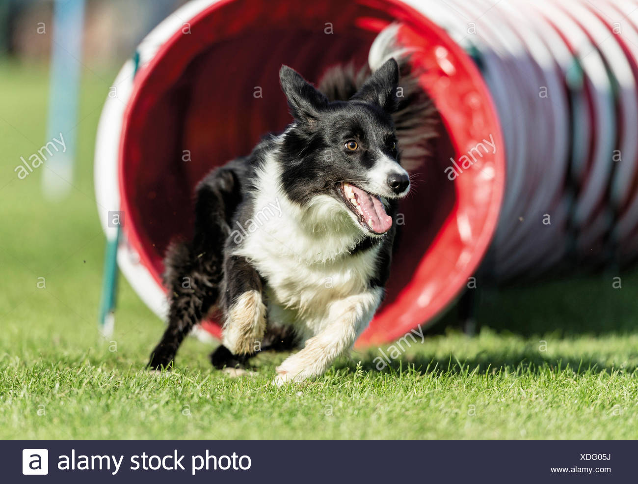 Exiting High Resolution Stock Photography and Images - Alamy