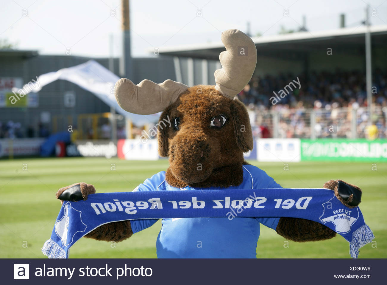 Hoffi High Resolution Stock Photography and Images - Alamy