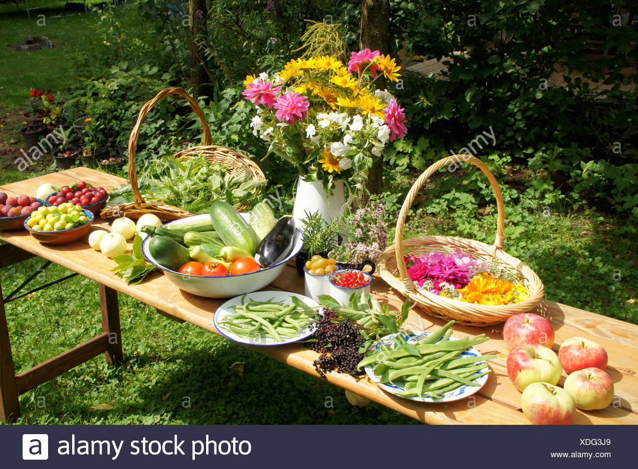 Fruits F High Resolution Stock Photography and Images - Alamy