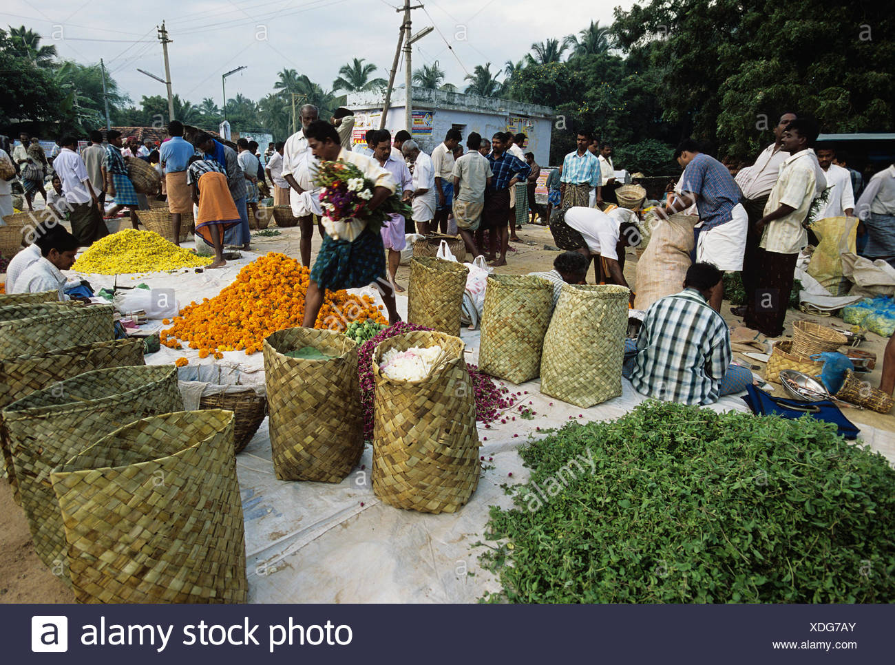 Thovalai Stock Photos & Thovalai Stock Images - Alamy