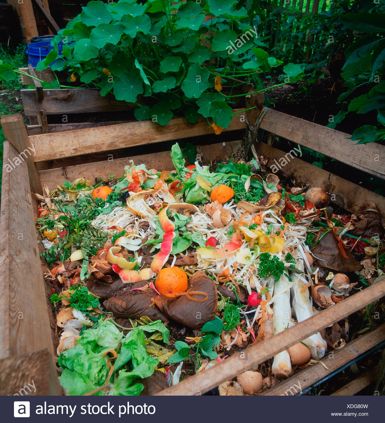 Compost High Resolution Stock Photography and Images - Alamy