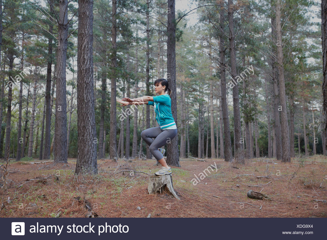 Leg Stump High Resolution Stock Photography and Images - Alamy