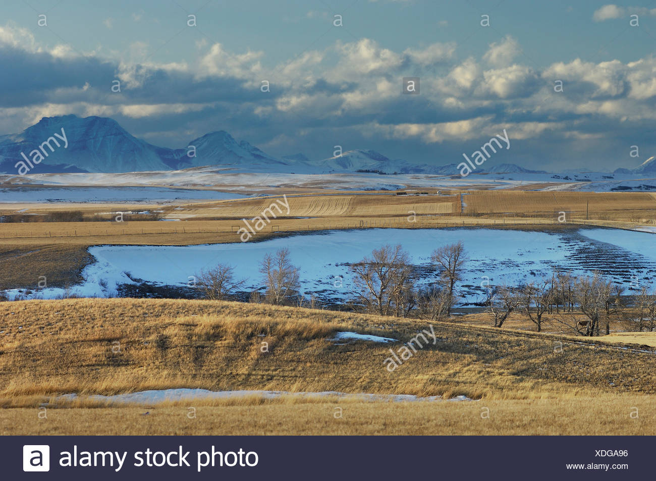 Lethbridge, Alberta High Resolution Stock Photography and Images - Alamy