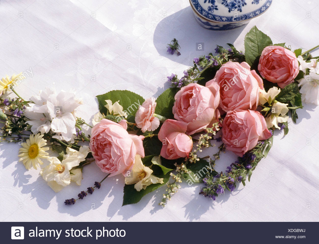 Spray Roses High Resolution Stock Photography and Images - Alamy