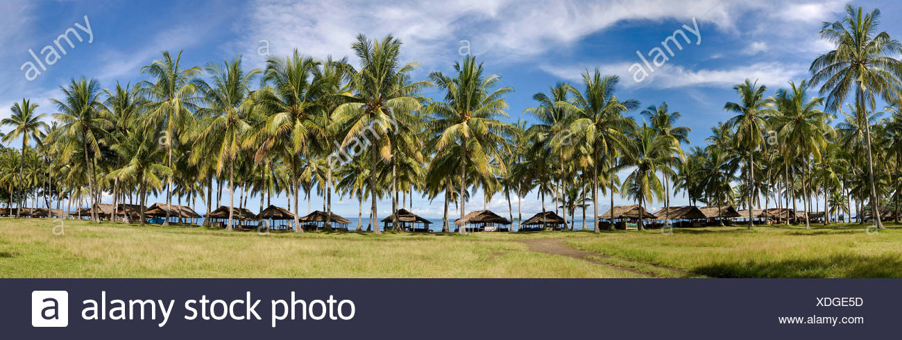 Beach Huts With Palm Trees On The Beach High Resolution Stock ...
