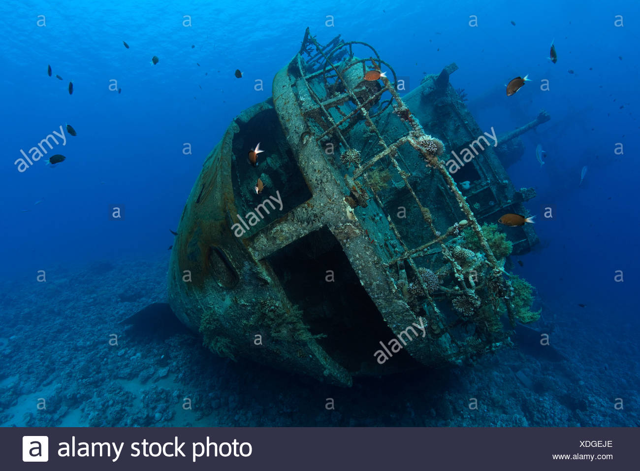 Red Sea Wrecks High Resolution Stock Photography and Images - Alamy
