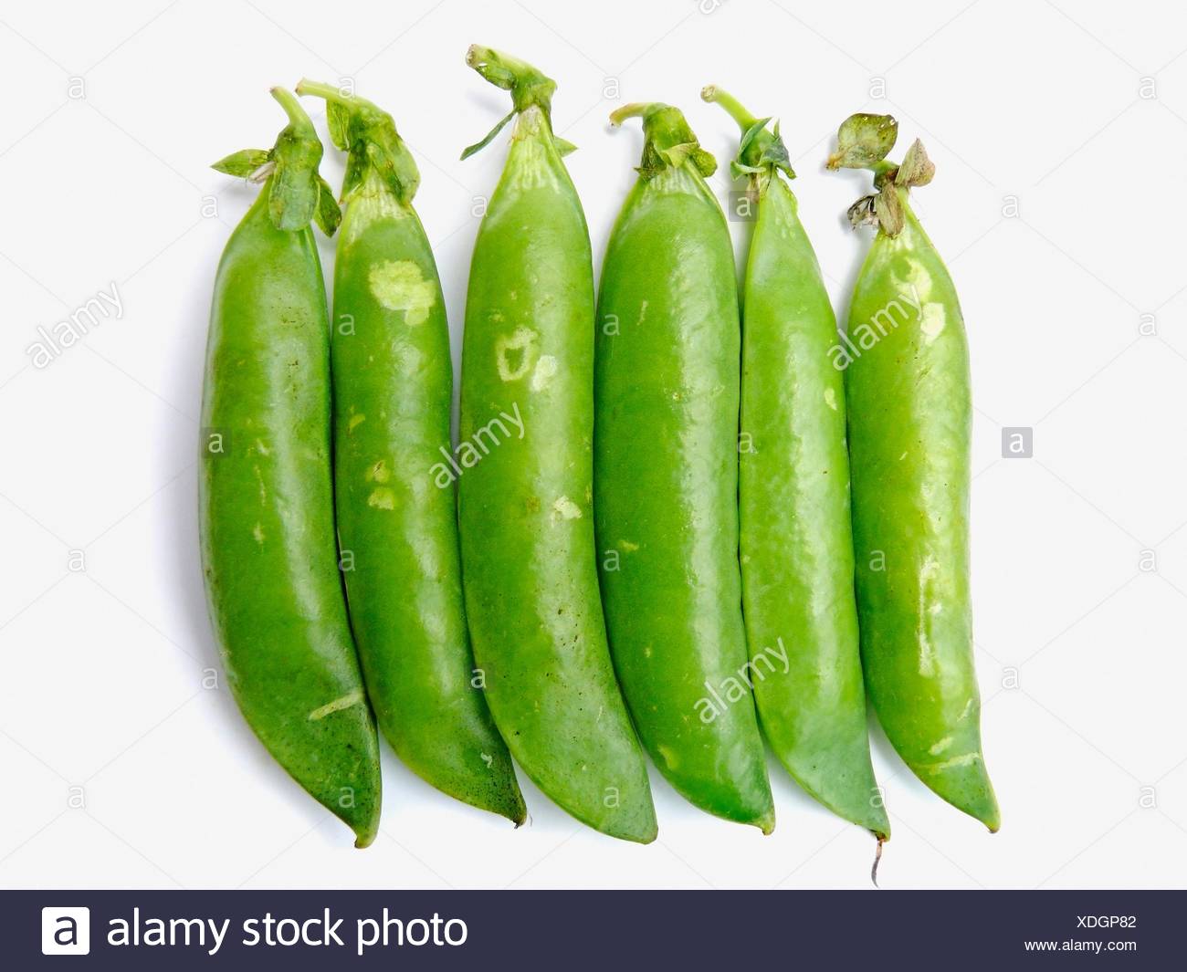 Pods Of Sugar Snap Peas High Resolution Stock Photography and Images ...
