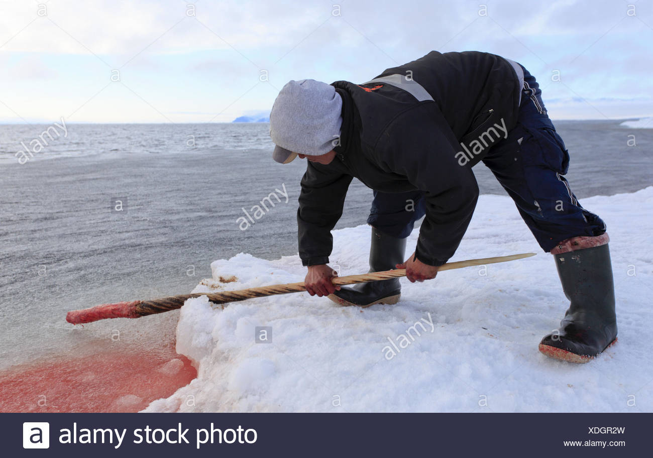 Inuit Whale Hunting High Resolution Stock Photography and Images - Alamy