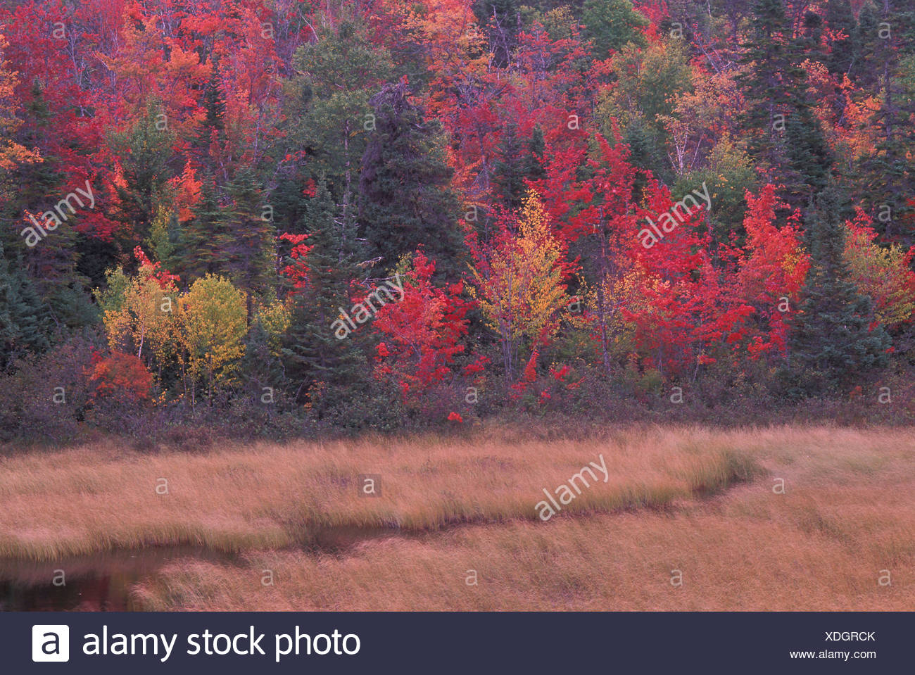 Death Falls High Resolution Stock Photography and Images - Alamy