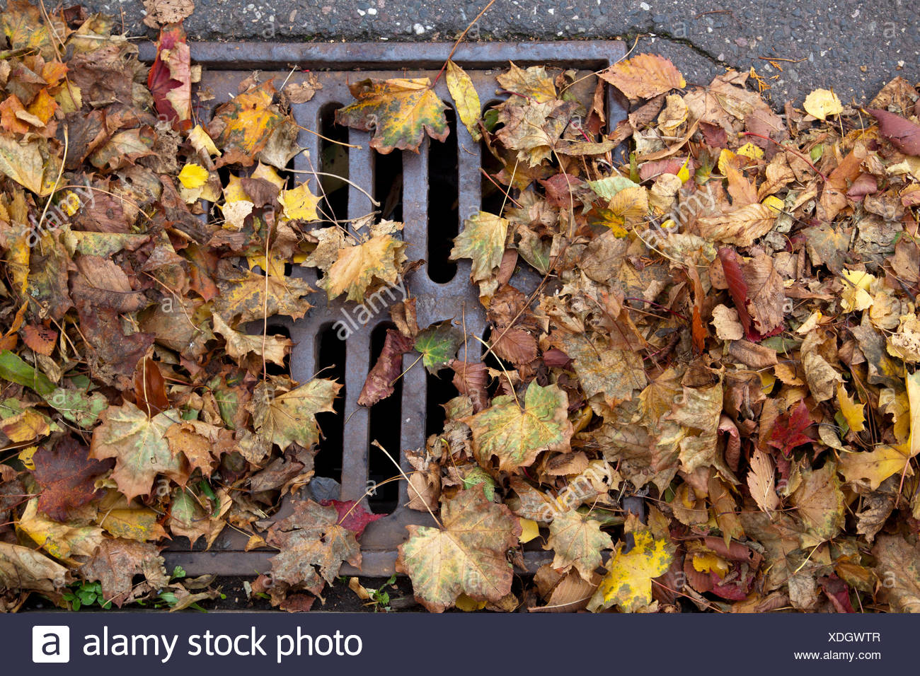 Covered Drain High Resolution Stock Photography and Images - Alamy