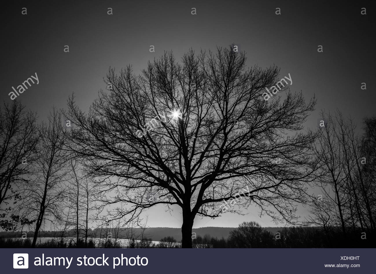 Grey Sky High Resolution Stock Photography and Images - Alamy