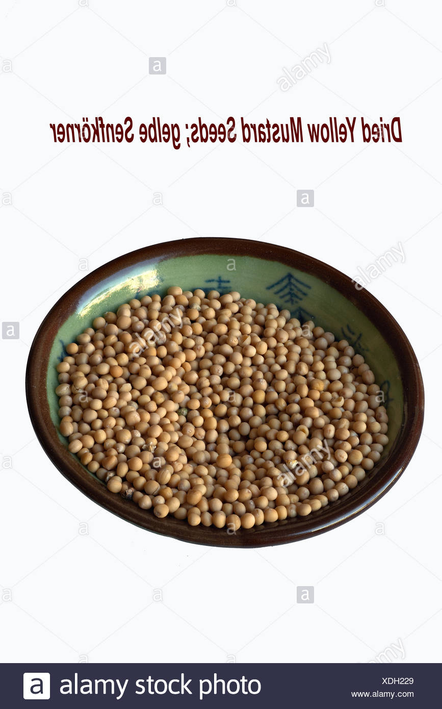 Seeds Cut Out Stock Photos & Seeds Cut Out Stock Images - Alamy