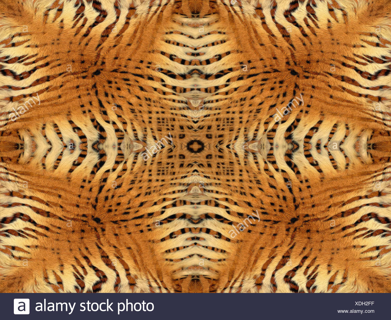 Tiger Fur Pattern High Resolution Stock Photography and Images - Alamy