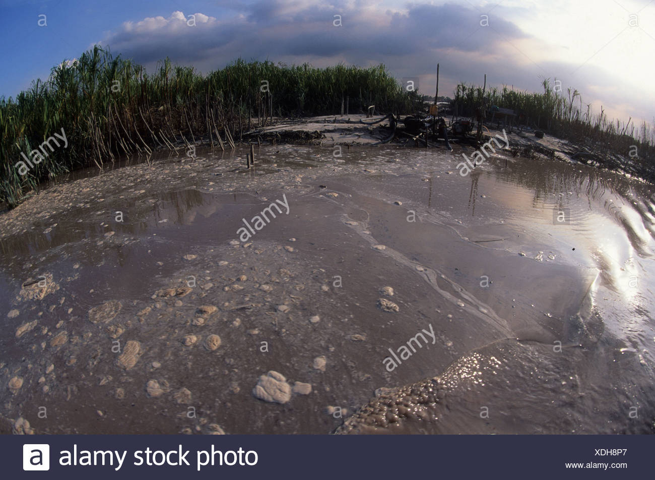 Gold Mine Pollution High Resolution Stock Photography and Images - Alamy