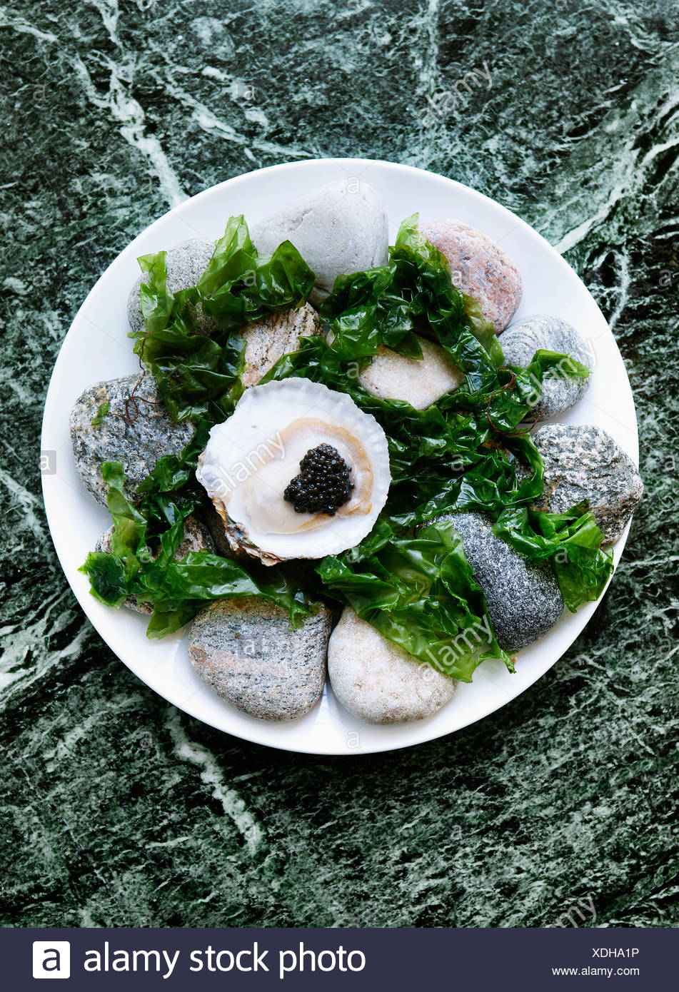 Green Seaweed High Resolution Stock Photography and Images - Alamy