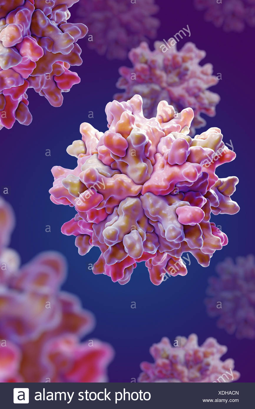 Ibd Stock Photos & Ibd Stock Images - Alamy