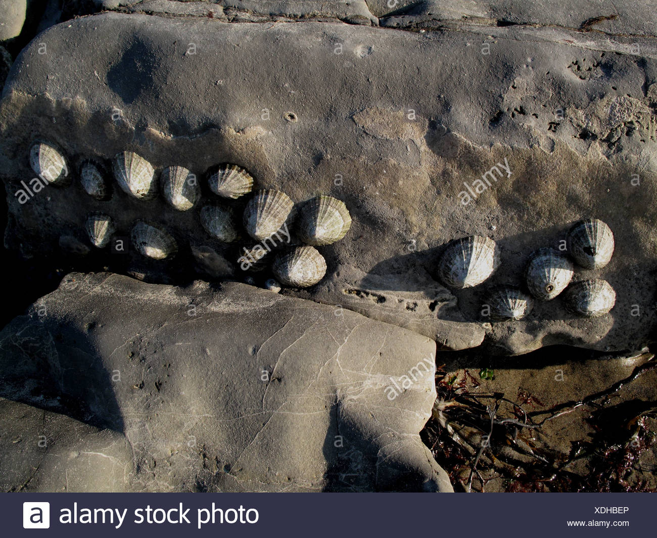 Sedimentary Clay High Resolution Stock Photography and Images - Alamy