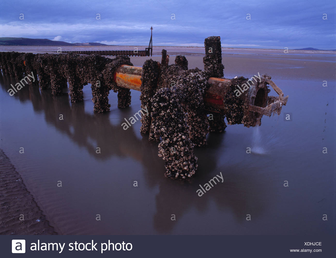 Sewage Outlet High Resolution Stock Photography and Images - Alamy