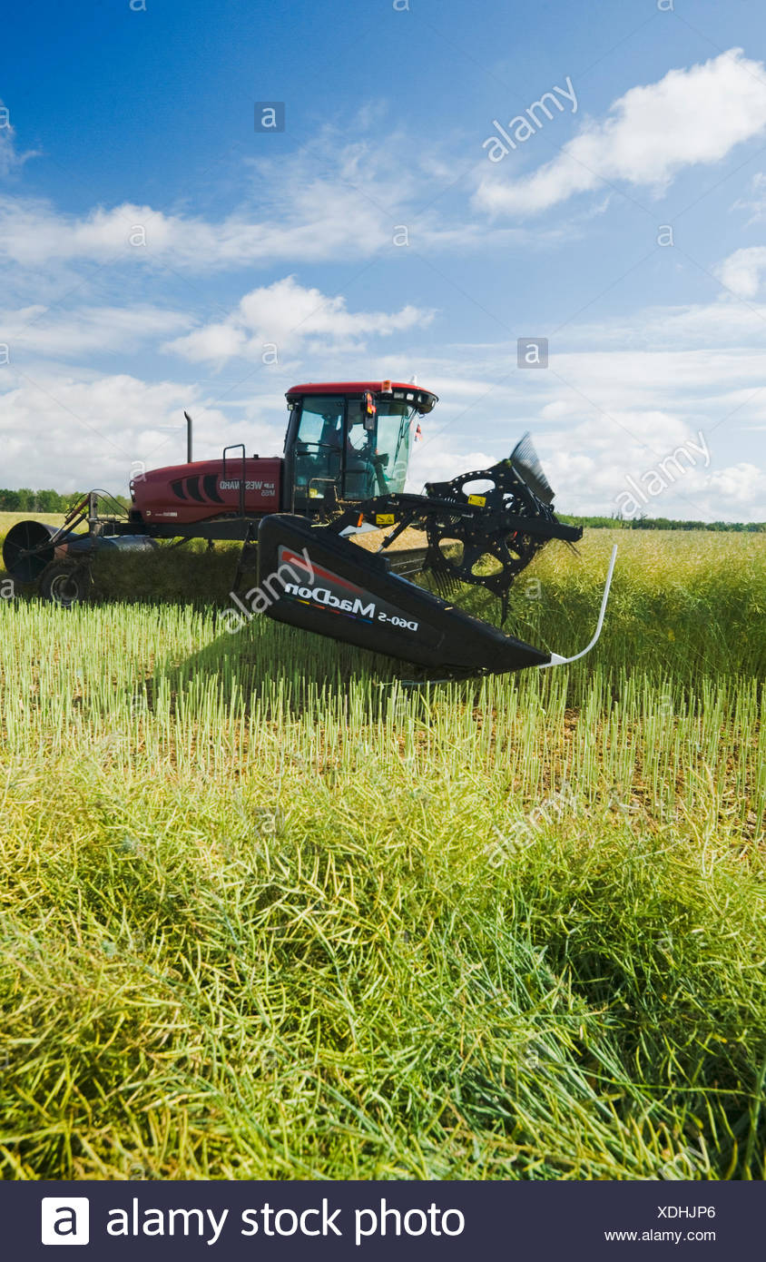 Swathing High Resolution Stock Photography and Images - Alamy