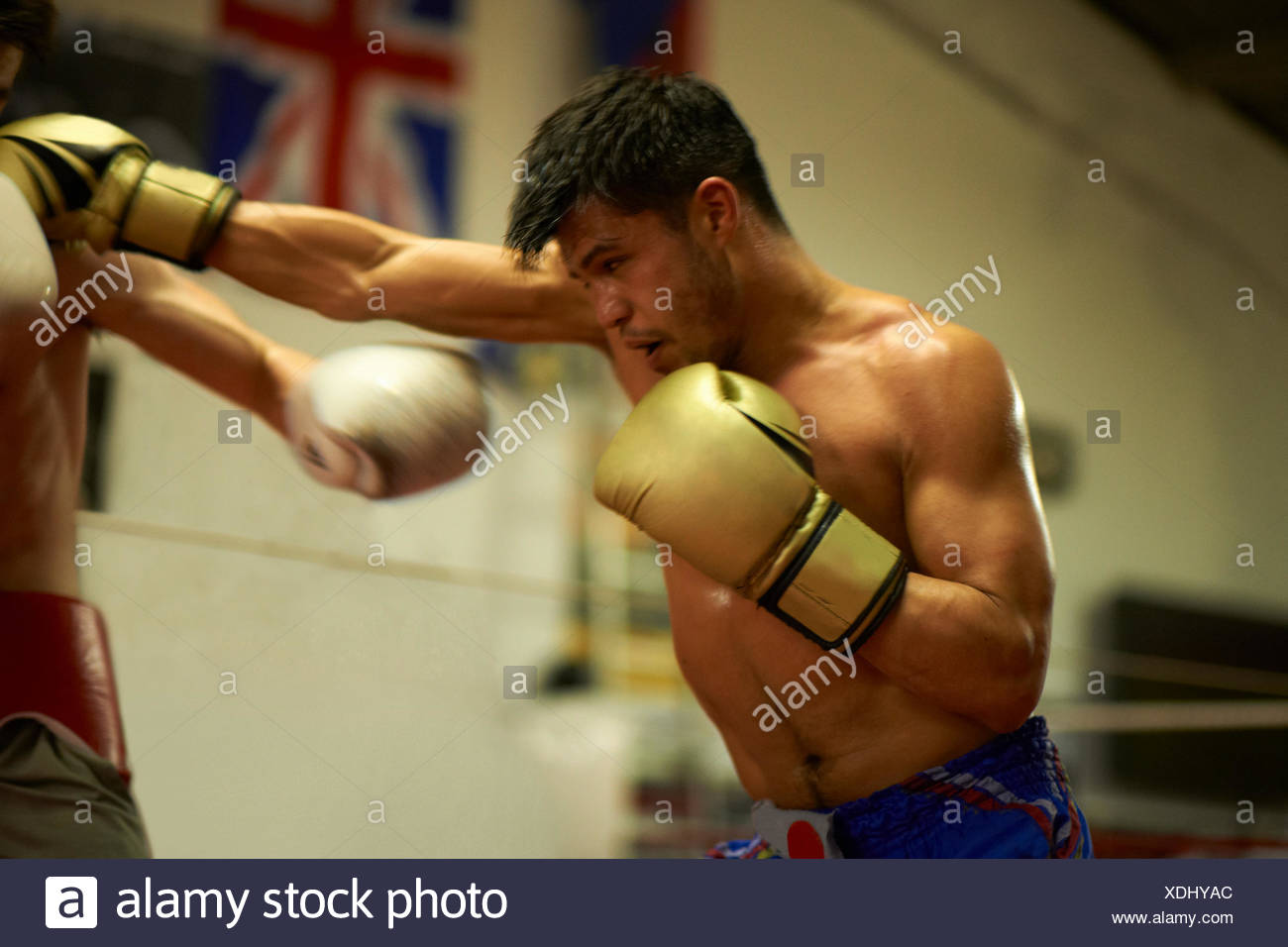 Boxers Sparring High Resolution Stock Photography and Images - Alamy