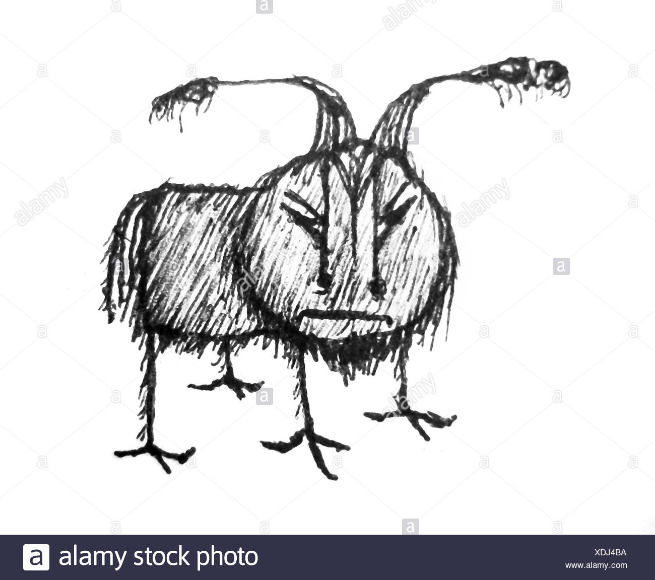 Animal Pencil Draw High Resolution Stock Photography and Images - Alamy