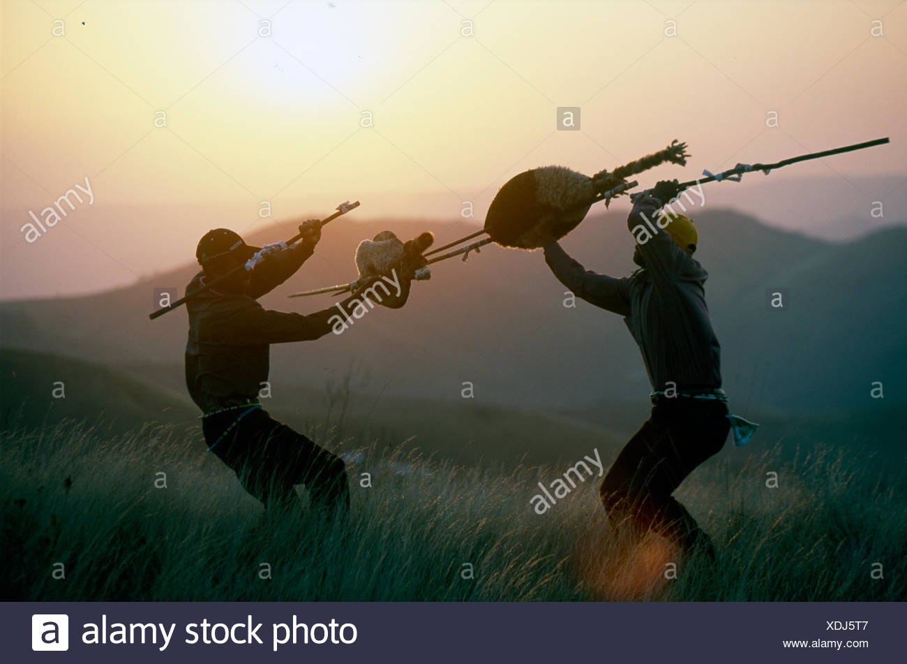 Fighting Sticks High Resolution Stock Photography and Images - Alamy
