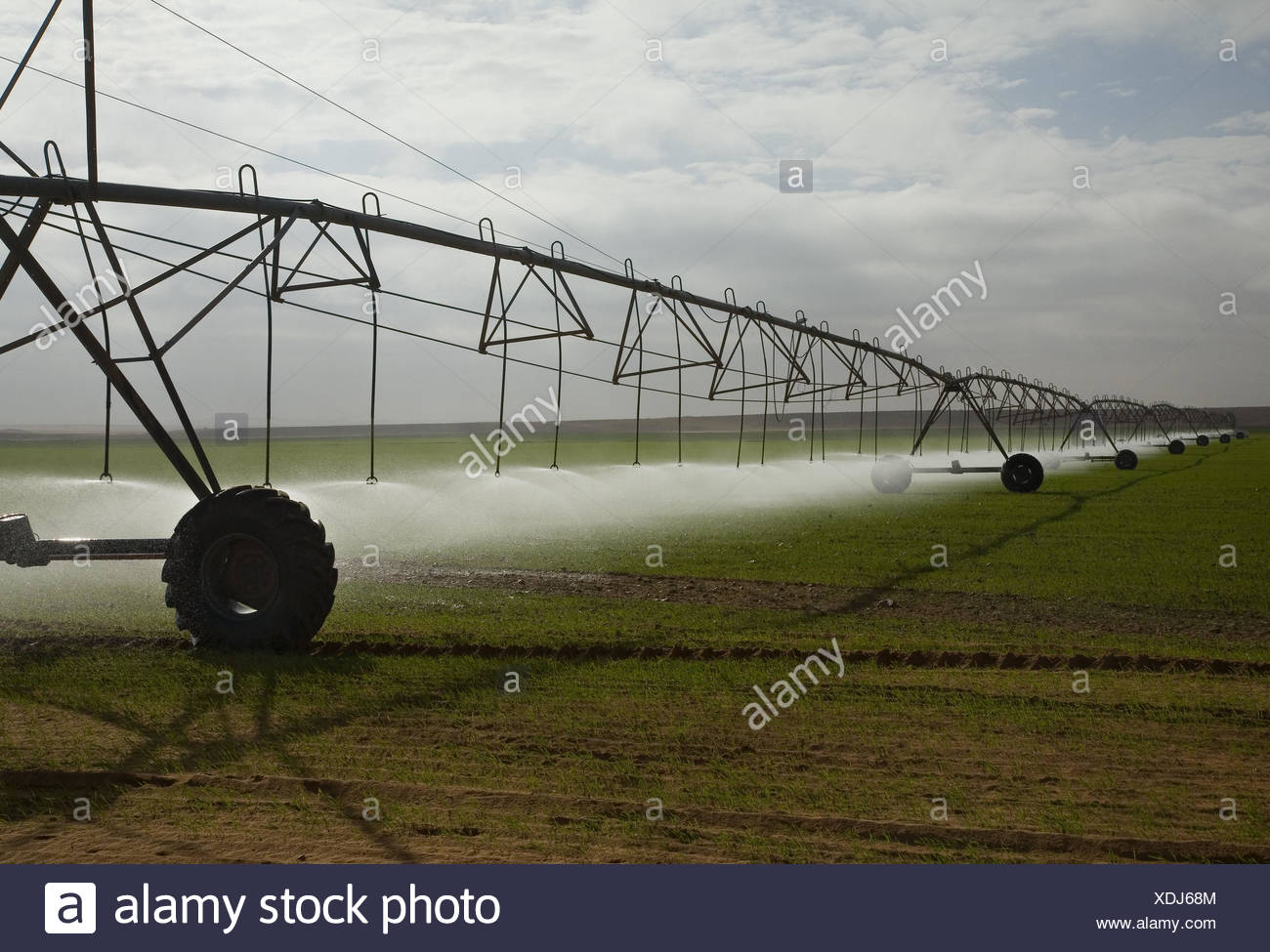 Algeria Agriculture High Resolution Stock Photography and Images - Alamy
