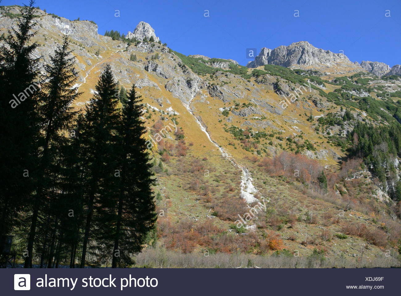 Talwand High Resolution Stock Photography and Images - Alamy