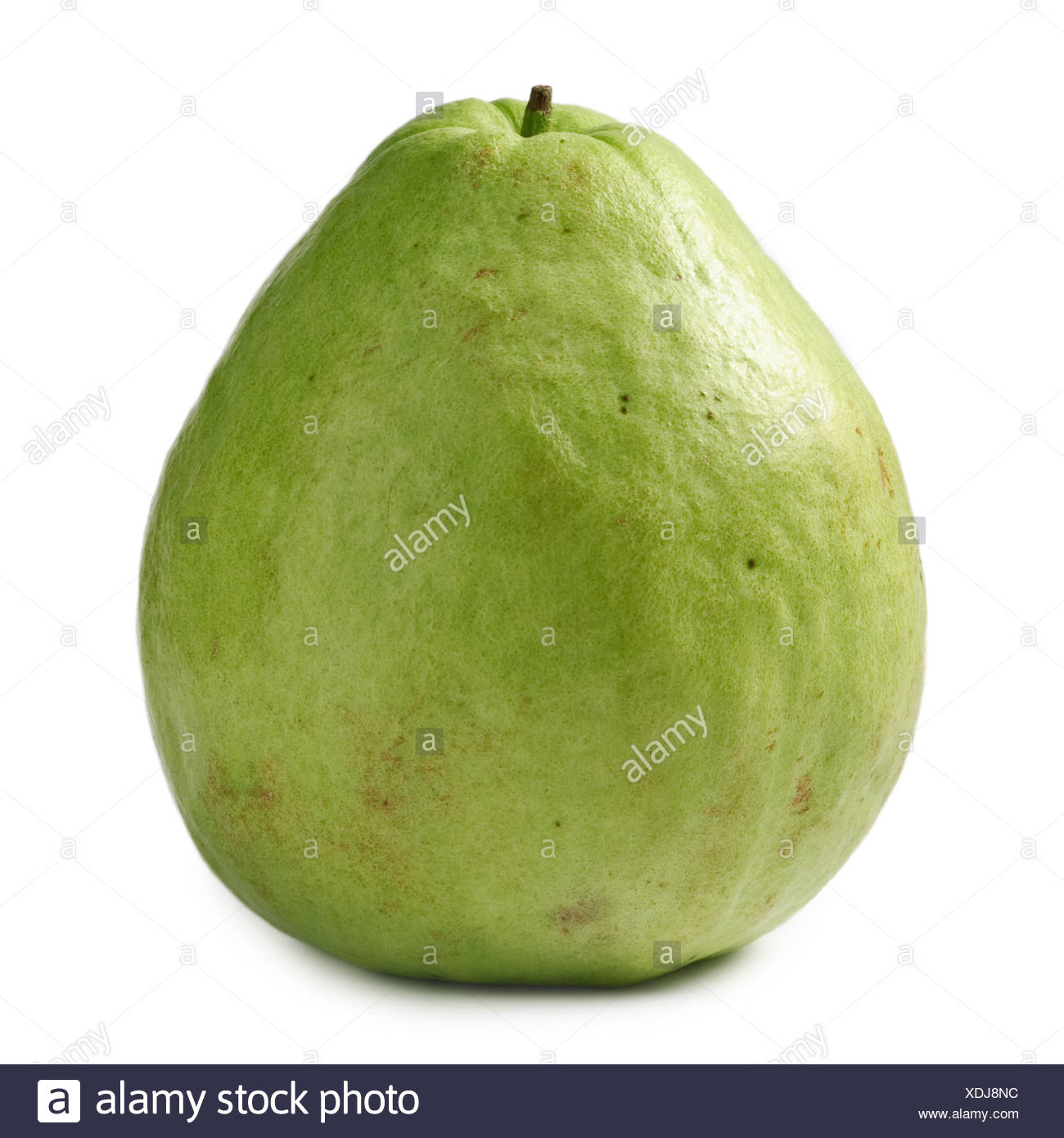 Single Guava Stock Photos & Single Guava Stock Images - Alamy