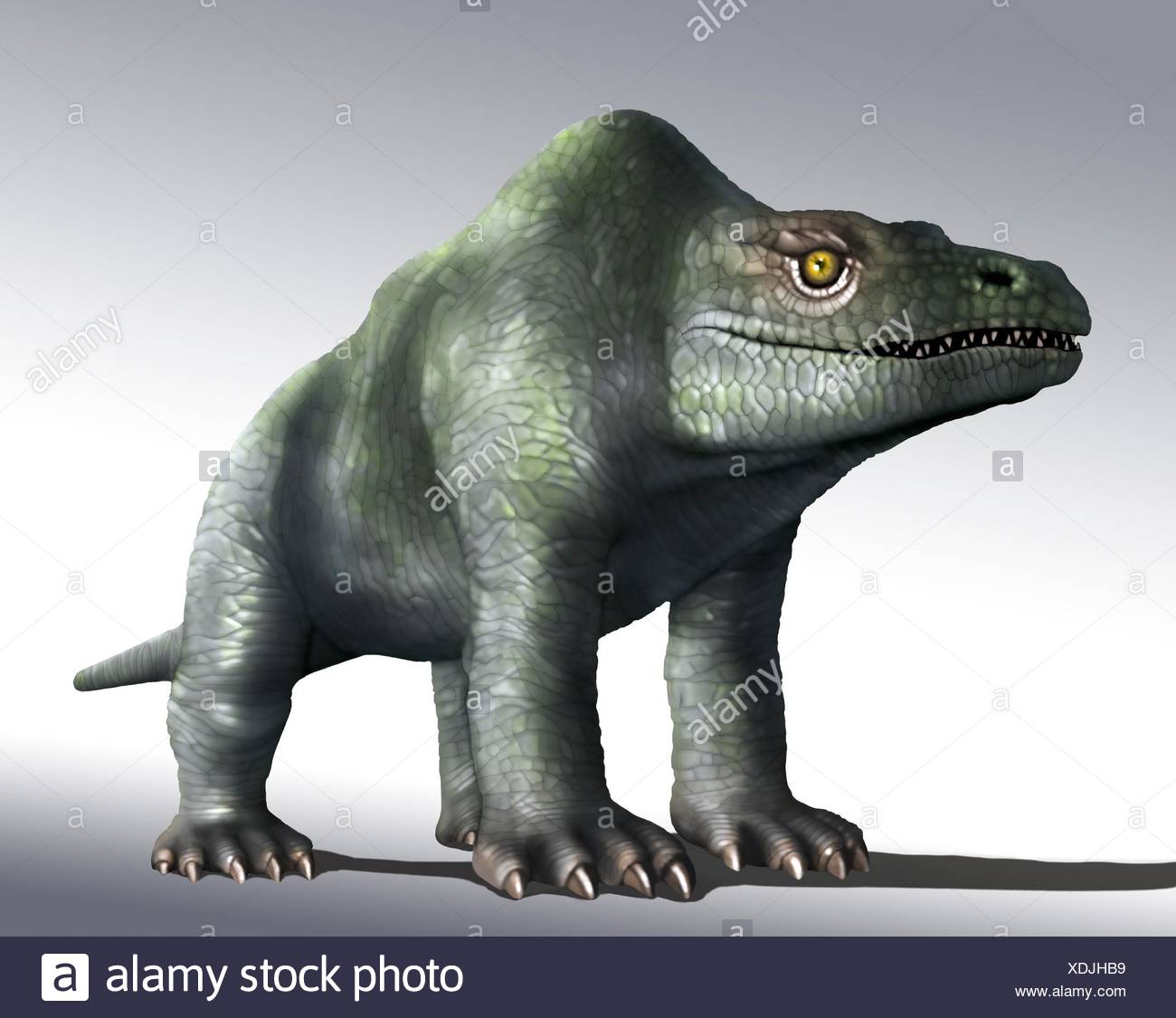 Theropods High Resolution Stock Photography and Images - Alamy