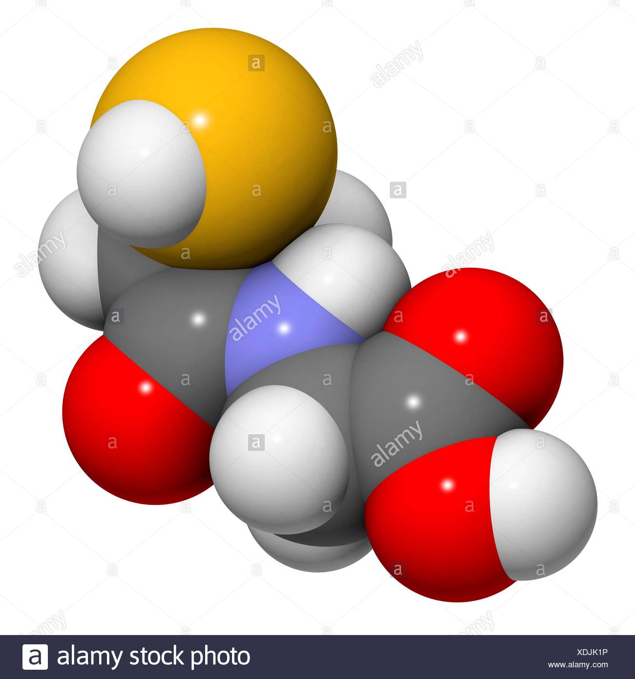 Cysteine Molecule High Resolution Stock Photography and Images - Alamy