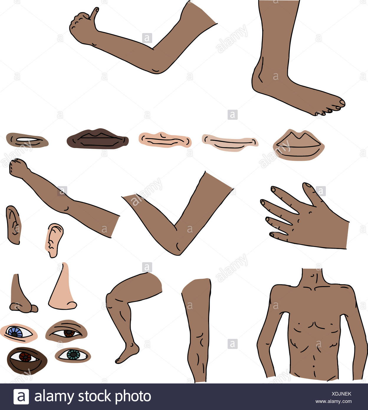 Skinny Legs Vector High Resolution Stock Photography and Images - Alamy