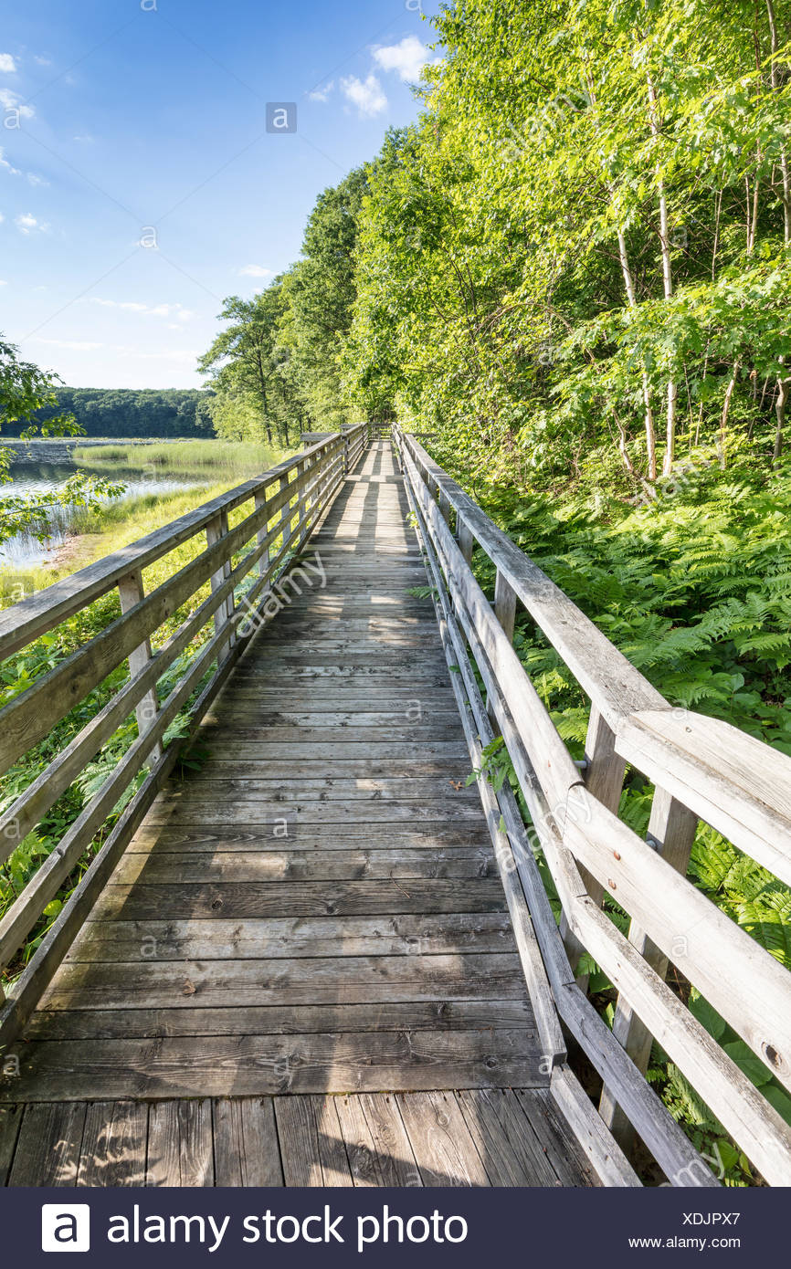 Wood Boardwalk Through Marsh High Resolution Stock Photography and ...